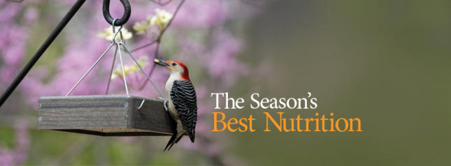 Wild Birds Unlimited - Nature Shop